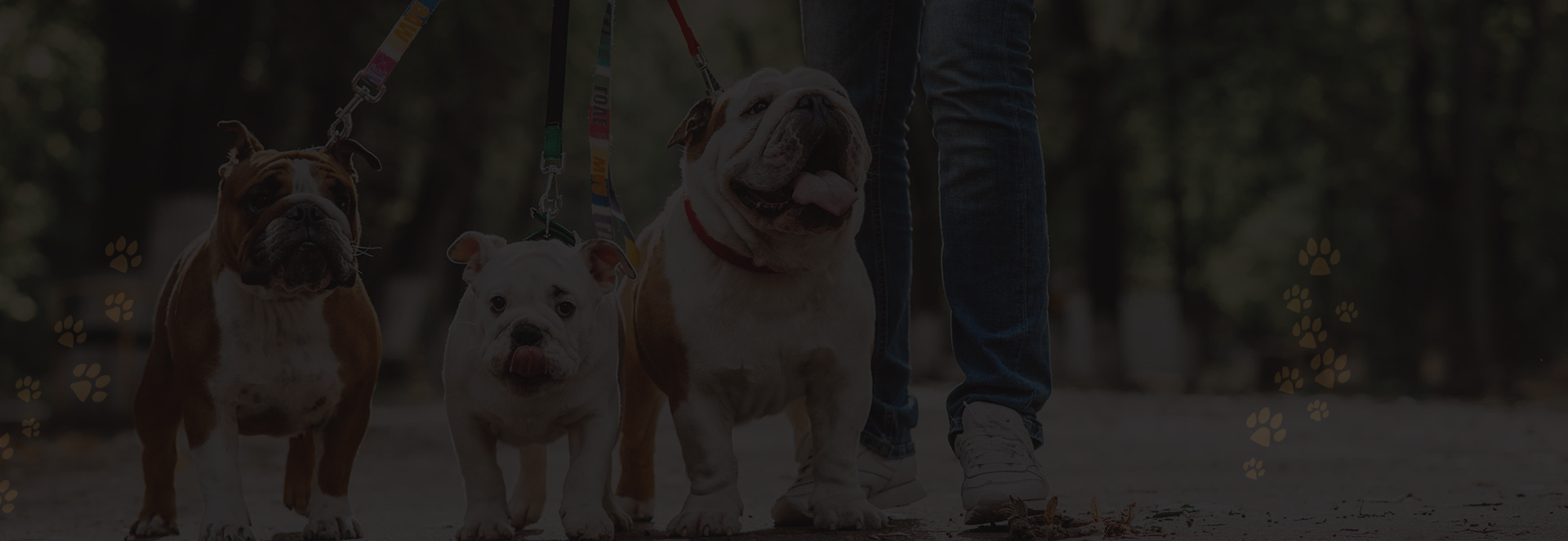 Home - Lyons Den TLC